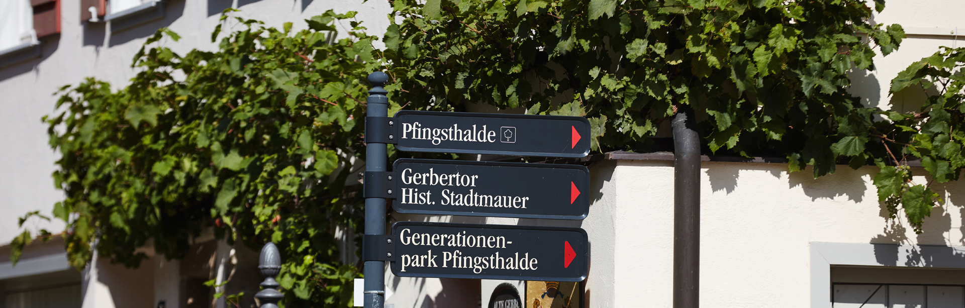 Weihnachtsgruß | Rosenfeld